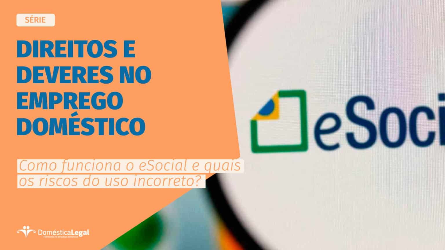 Como Funciona o eSocial e Quais os Riscos do Uso Incorreto? | Doméstica ...